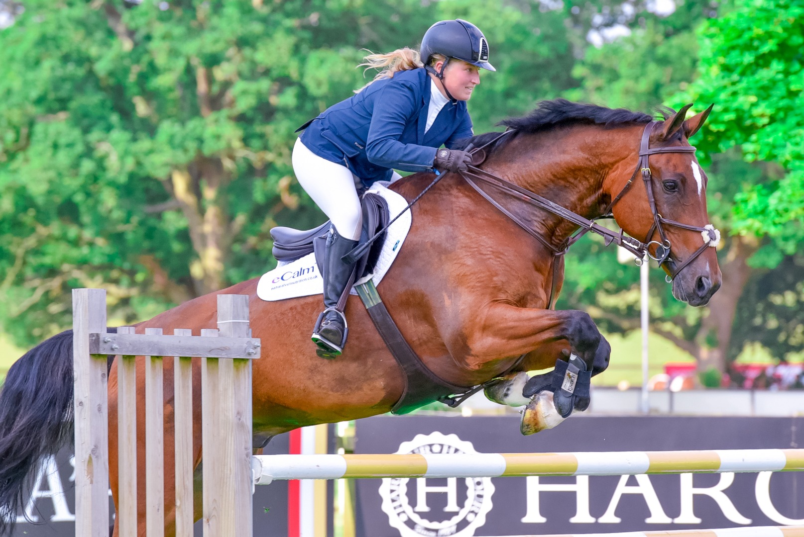 Home [www.hickstead.co.uk]