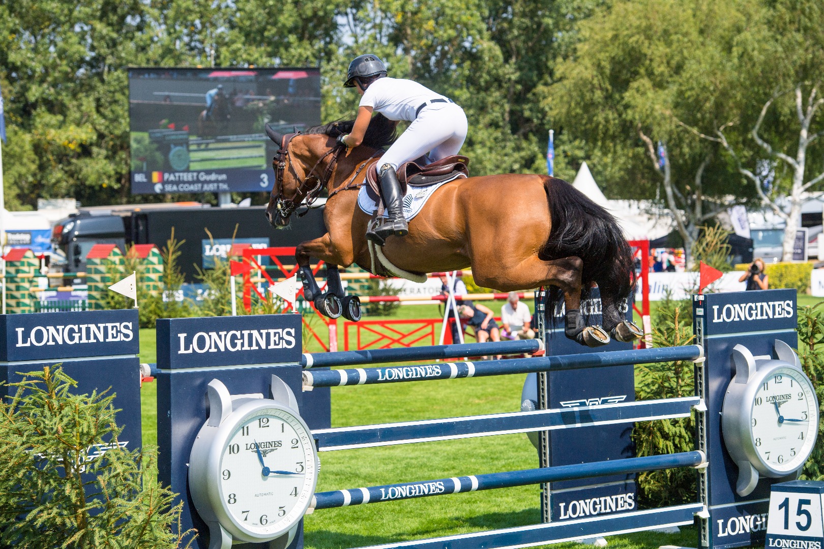 Home [www.hickstead.co.uk]