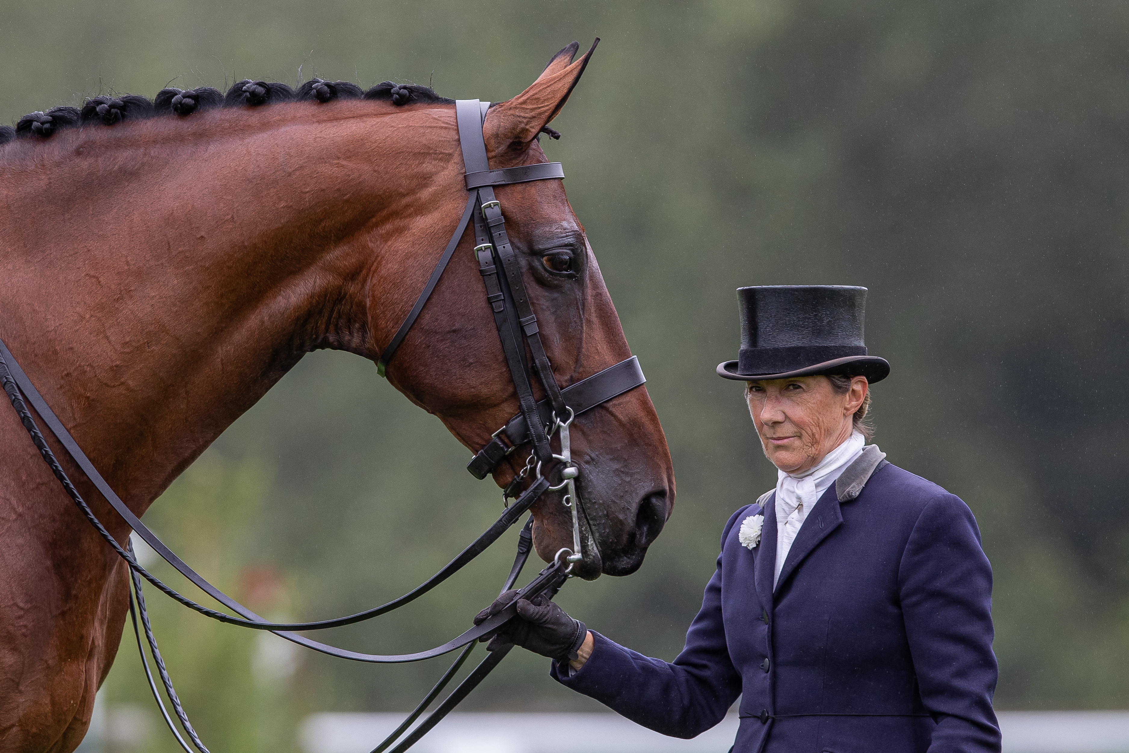 Home [www.hickstead.co.uk]