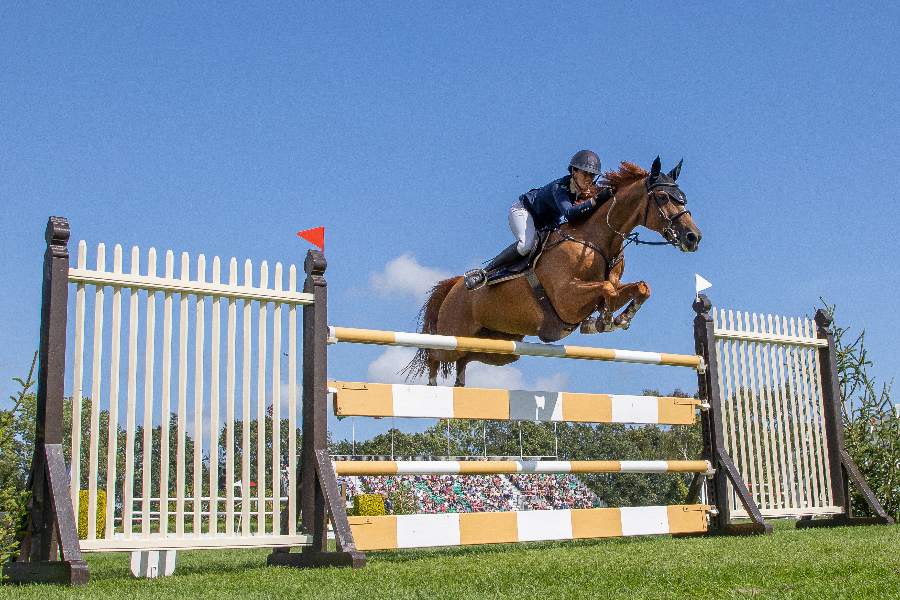 Show riding store