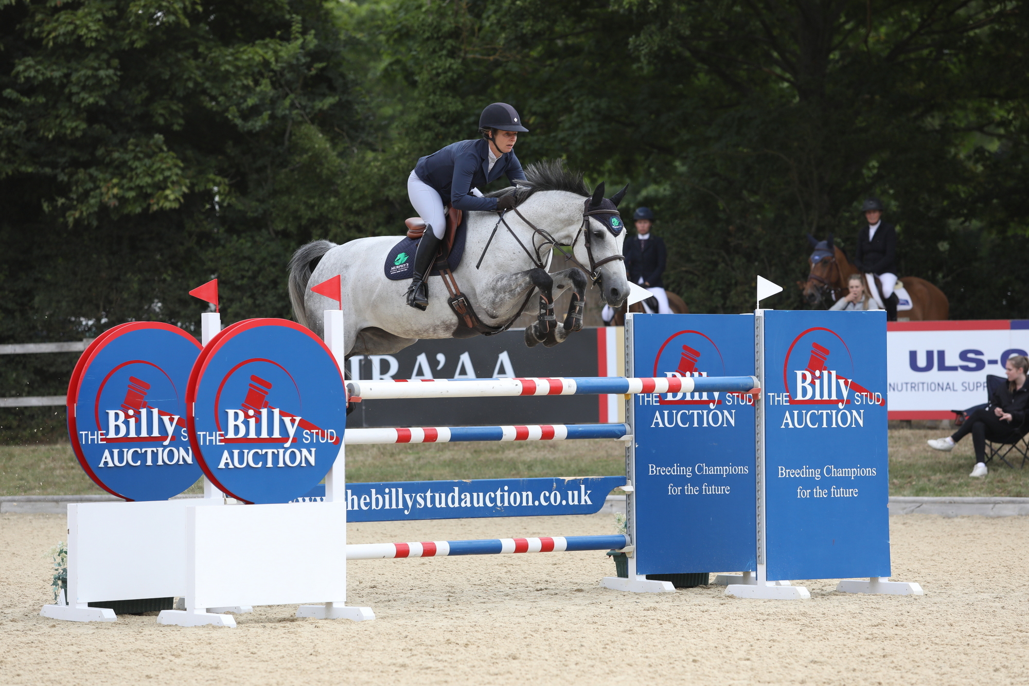 Home [www.hickstead.co.uk]